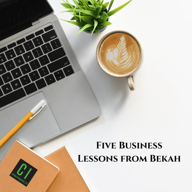 Five Business Lessons from Bekah - Carlson Integrated